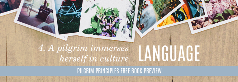 Pilgrim Principles FREE Book Preview: Language - A Sacred Journey