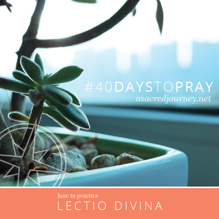 How to Practice Lectio Divina - A Sacred Journey